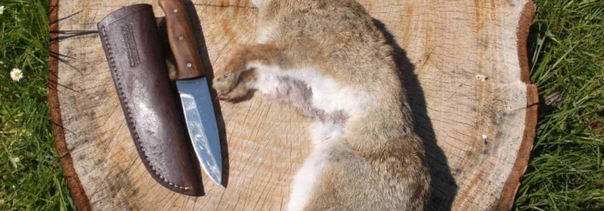 How to skin and butcher a rabbit | Dorset Bushcraft courses | Wildway ...