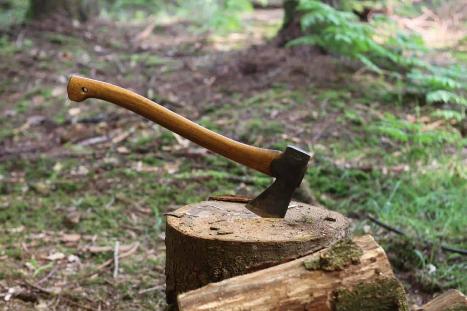 Basic Axe Care - Dorset Bushcraft courses | Wildway bushcraft