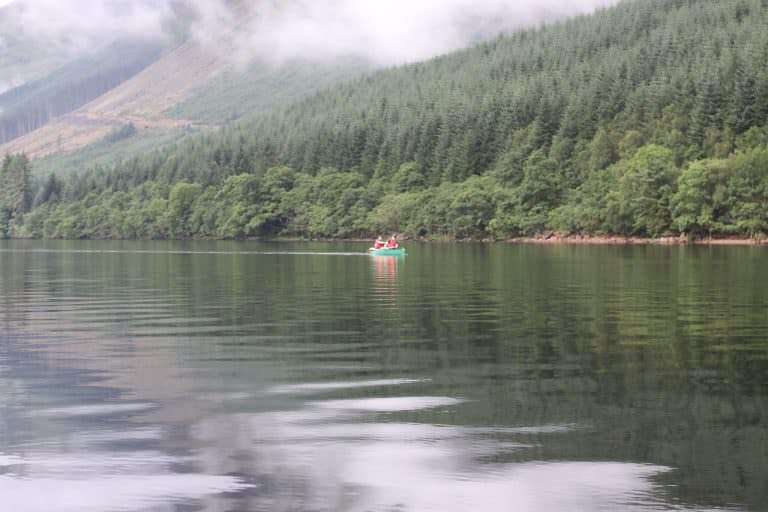 How to catch and cook fish | Wildway Bushcraft