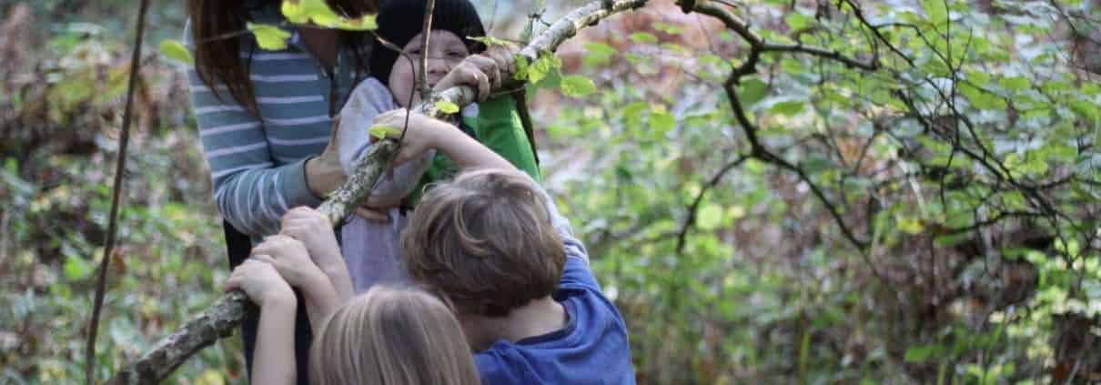 Foraging for All the Family | Dorset Bushcraft courses | Wildway bushcraft