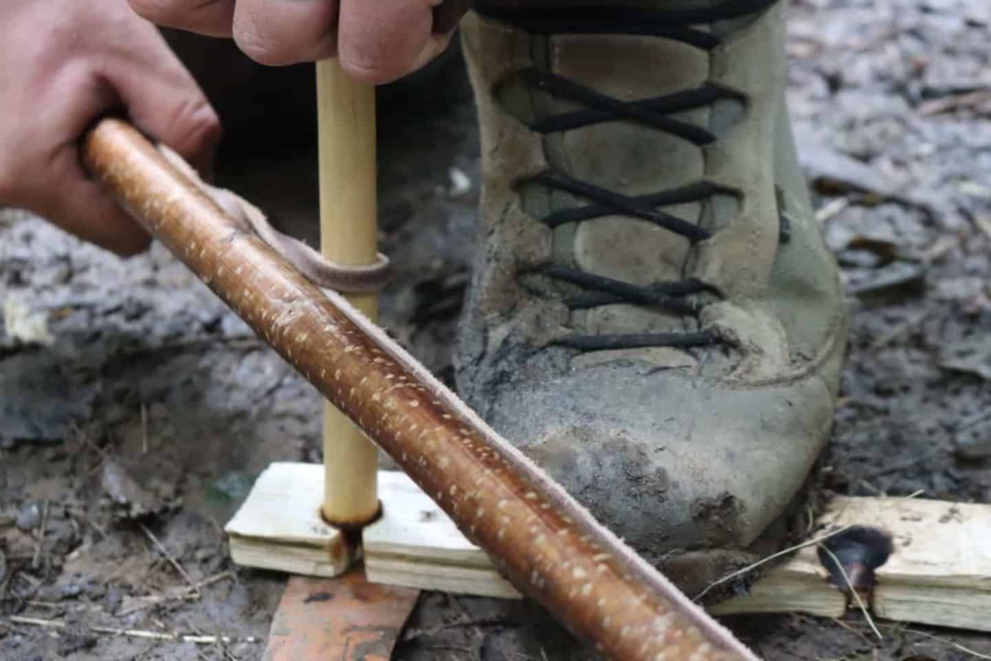 Top 5 nuts to Forage for | Wildway Bushcraft