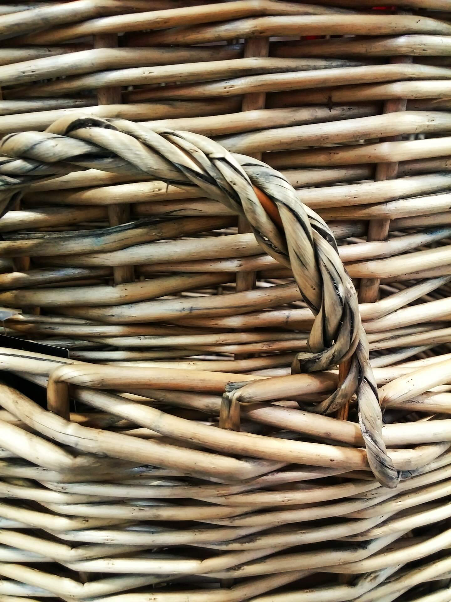 Coppicing Woodland