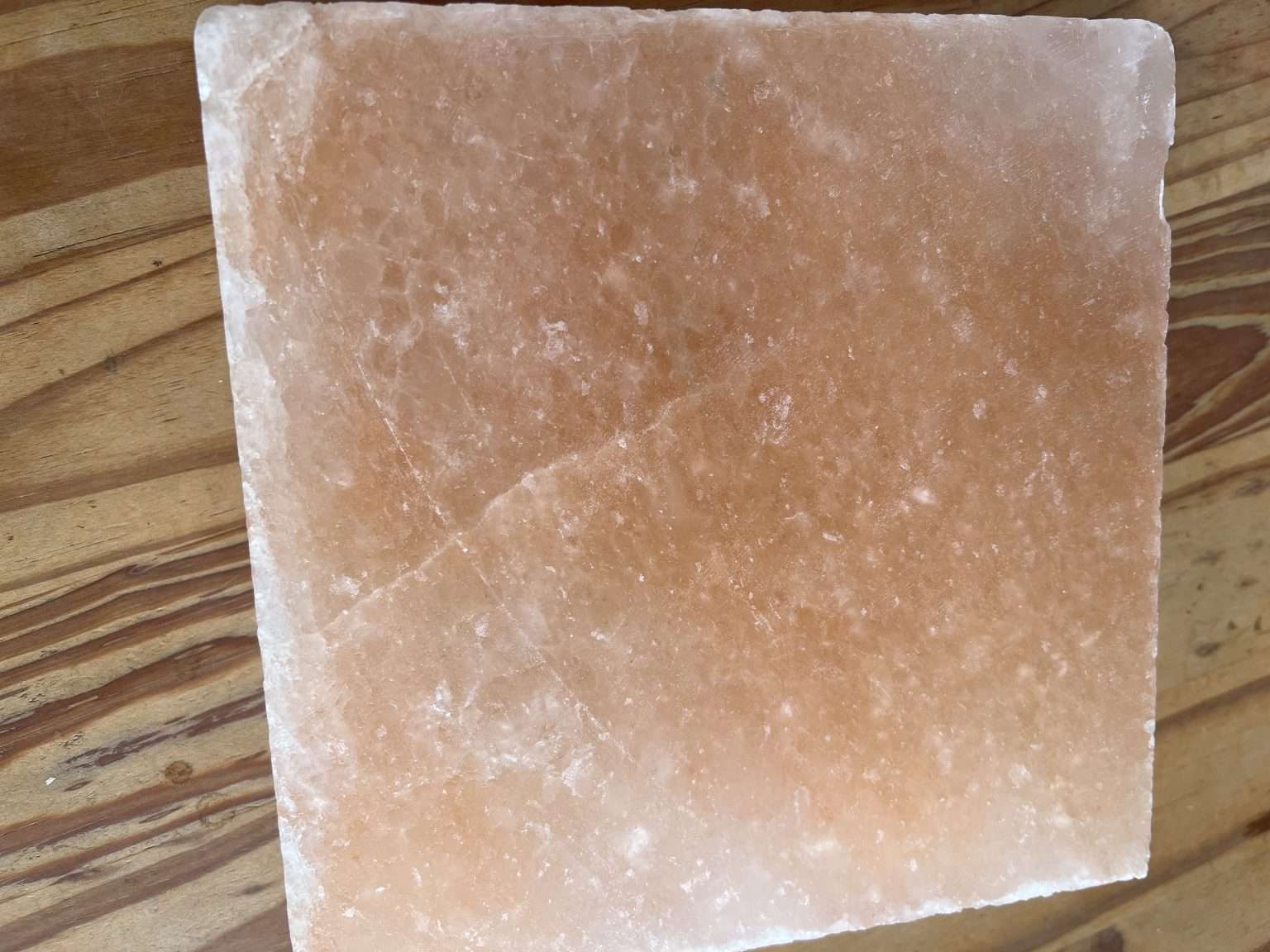 Cooking On a Rock | Wild Way Bush Craft