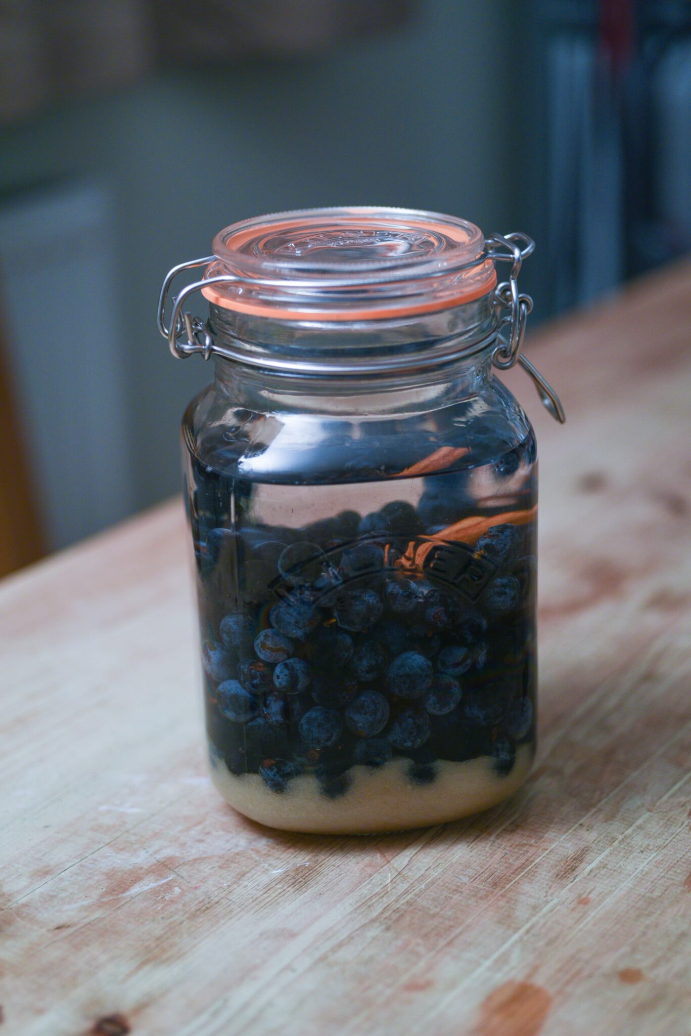 5 Sloe Recipes - Dorset Bushcraft courses | Wildway bushcraft