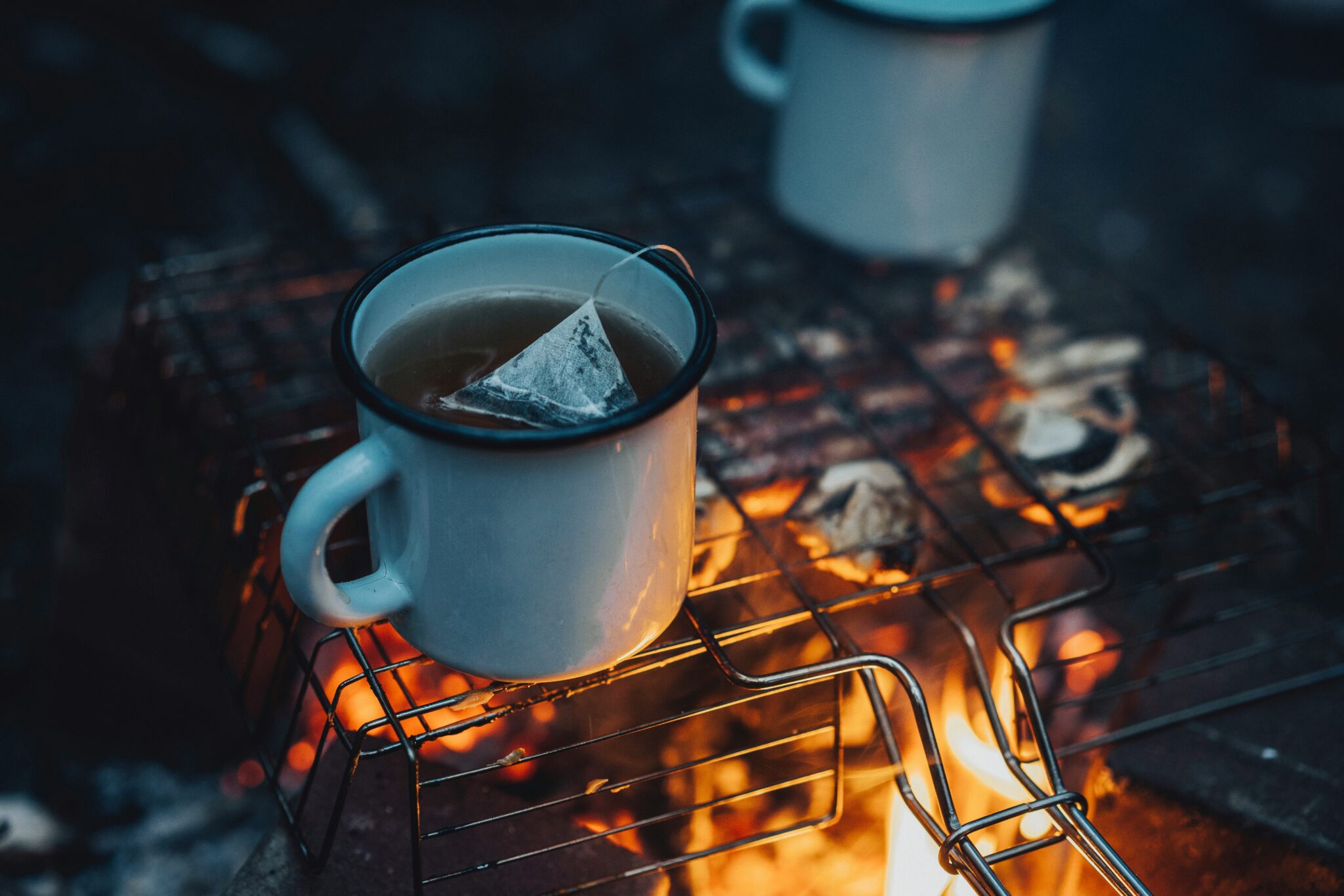 Bushcraft & Survival | Wildway Bushcraft courses